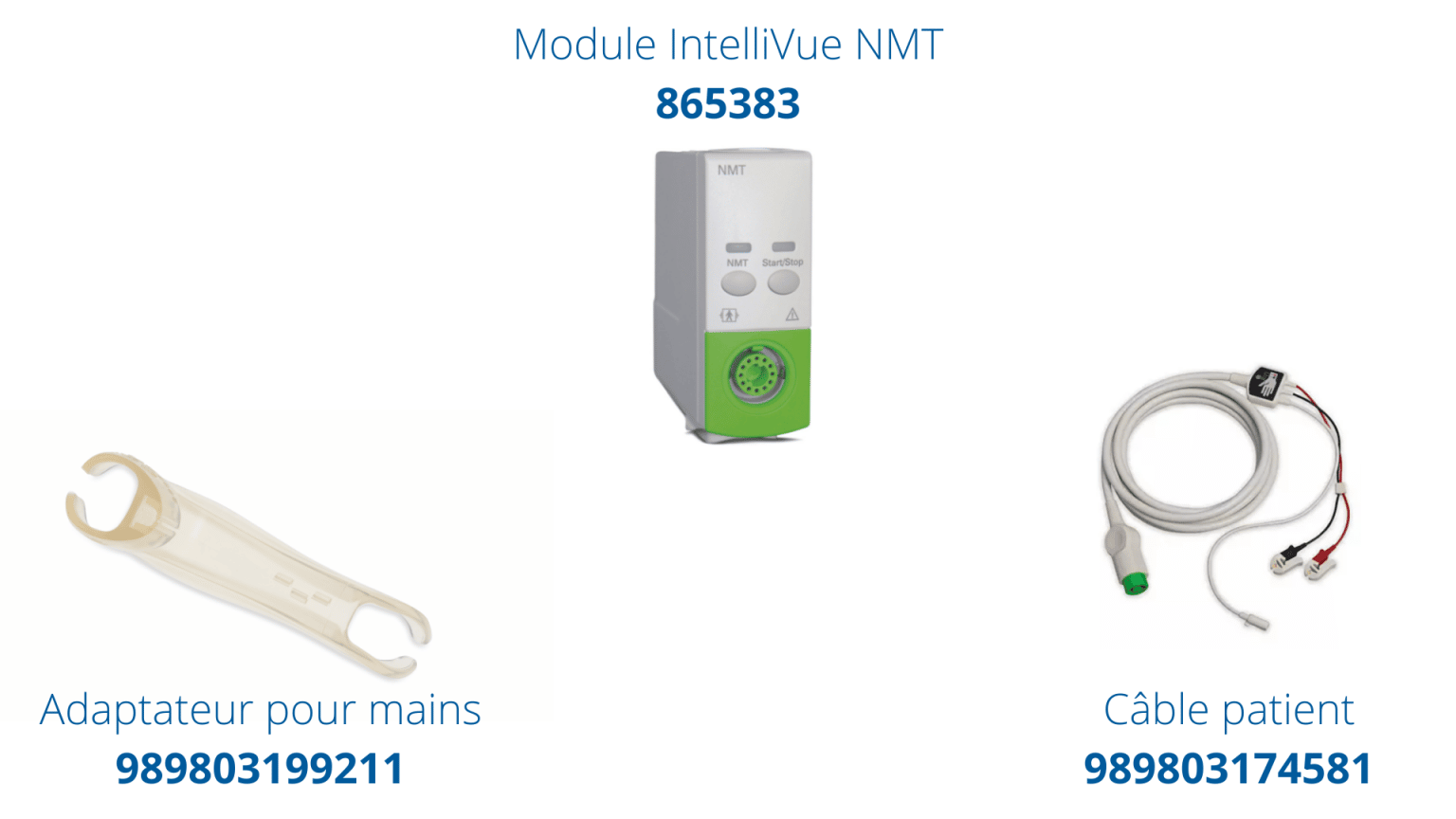 Transmission Neuro Musculaire (NMT) | AVF Biomedical